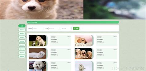 计算机毕业设计django vue宠物咖啡店管理系统【开题 论文 程序】 基于django的宠物系统设计与实现源码 csdn博客