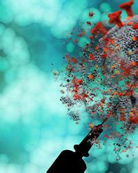 Site About Trends Internet News Video Games Travel Business Health And Technology Mirai