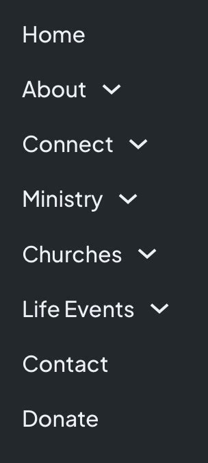 No Bug Mobile Menu Icon Shifting Right When Selected Bugs Bricks