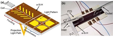 The Design Of Microfluidic Chip Athe Schematic Of The Microfluidic