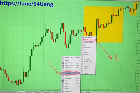 MetaTrader 4 5 Template Quick Setup For This Site S Strategies