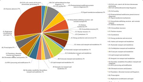 Clusters Of Orthologous Groups Cogs Of Functional Categories And