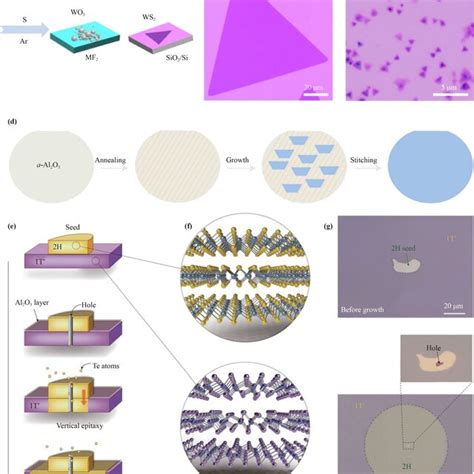 cvd growth of wafer scale single crystalline 2d tmds a schematics of