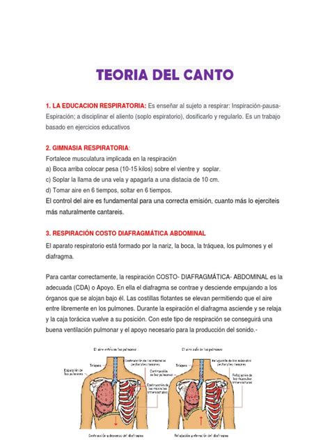 Teoria Del Canto Pdf Sistema Respiratorio Respiración