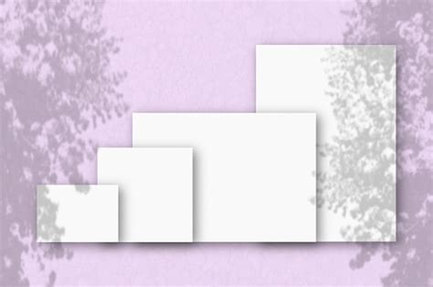 분홍색 벽 배경에 흰색 질감종이 여러 장 식물 그림자의 오버레이와 모형 열대 식물에서 그림자를 투사하는 자연 광 0명에 대한 스톡 벡터 아트 및 기타 이미지 Istock