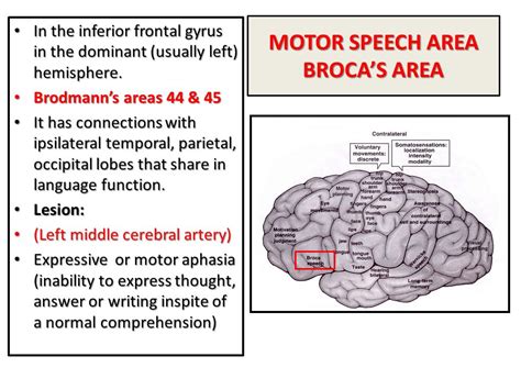 By Prof Saeed Abuel Makarem Ppt Video Online Download