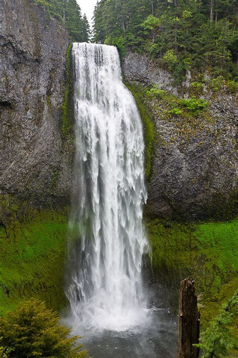 Salt Creek Falls Lane County Oregon Northwest Waterfall Survey