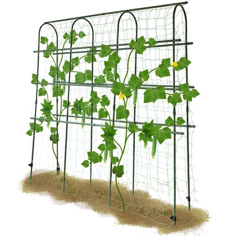 Garden Trellis For Climbing Plants Metal Plant Support Structure For