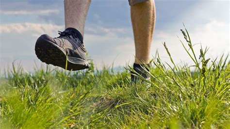 How To Get Rid Of Chiggers In Yard Naturally Control And Prevention Pest Samurai