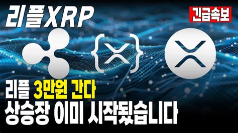리플 전망 리플 3만원 간다 긴급속보 리플 Xrp Sec 리플소송 코인투자의첫걸음 갈링하우스 Rlusd 리플스테이블코인 Youtube