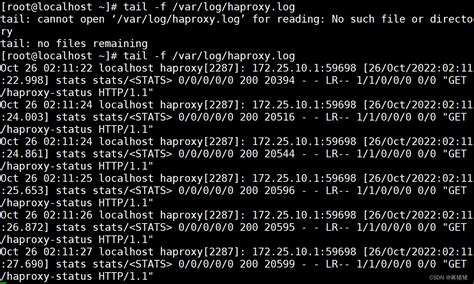 源码编译安装haproxy248，配置服务启动脚本，实现web负载均衡，配置日志，实现智能负载均衡haproxy28 系统服务脚本