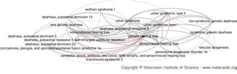 Genetic Hearing Loss Disease Malacards Research Articles Drugs