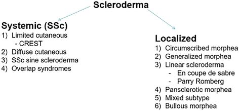 Training The Next Generation Of Rheumatologists Rheumatic Disease Clinics