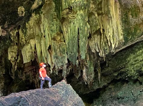 Back To Work After 8 Months Of Minimal Field Work To Film Bats