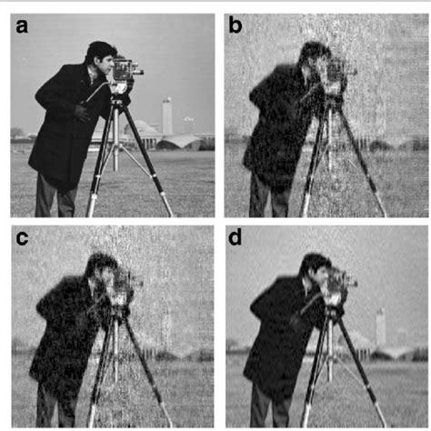 Reconstructed Lena Images With Different Measurement Matrices At