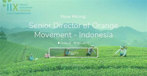 Senior Director Of Orange Movement Indonesia At Iix Global