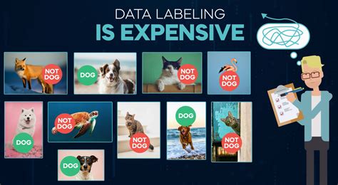 Introduction To Ai Flashcards 365 Data Science