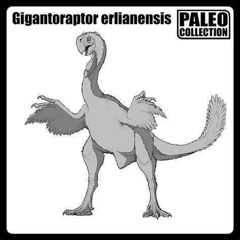 An Image Of A Dinosaur With Wings