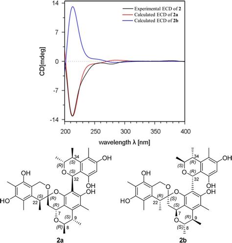 Experimental Ecd Spectrum Of 2 In Meoh And The Calculated Ecd Spectra