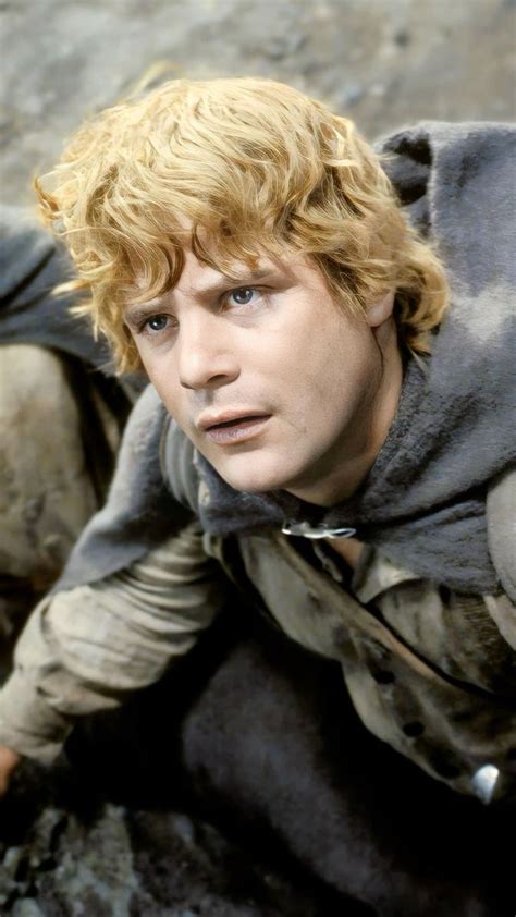 Samwise Lotr Samwise Gandalf Fellowship Of The Ring Lord Of The