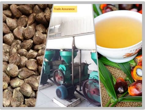 Palm Kernel Oil Extraction Method Provided By Oil Press Manufacturer