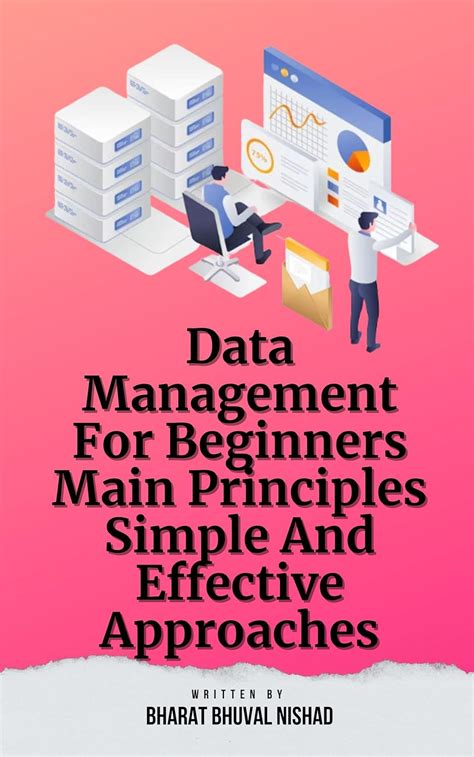Data Management For Beginners Main Principles Simple And Effective