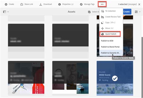 Work With Selective Publish In Dynamic Media Adobe Experience Manager