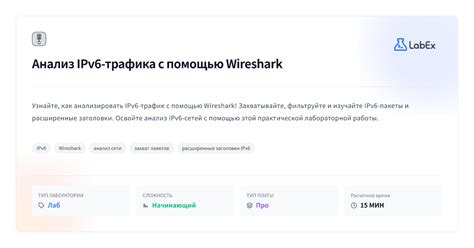 Анализ Ipv6 трафика с помощью Wireshark Labex