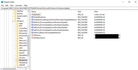 Audit And Fix Windows Update Registry Keys In A Co Management Scenario