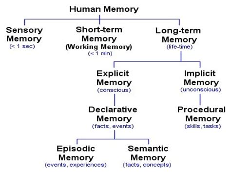 04 Memory Its Basic Components Types Ppt