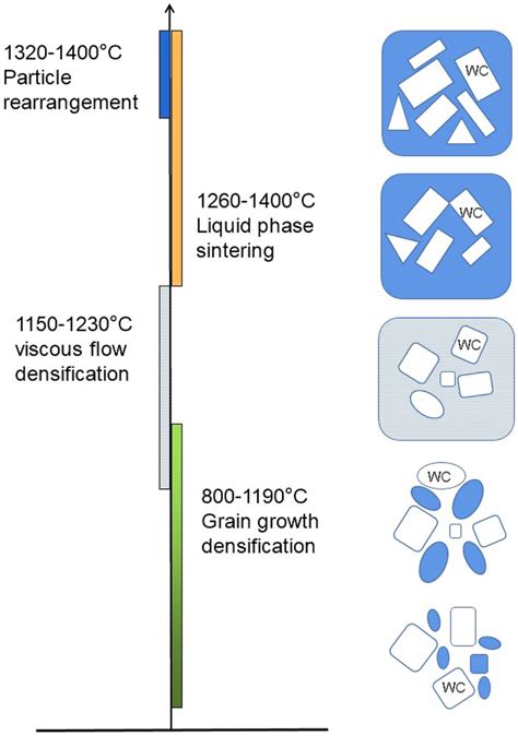 Diagram Of Densification Stage And Microstructure Evolution Of Wc Co [22] Download Scientific
