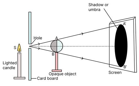 Chapter 5 Light Selina Solutions Concise Physics Class 6 Icse