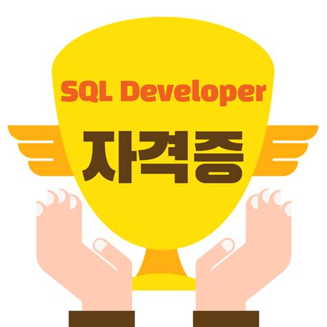 Sqld 자격증 시험 47회 기출문제 Plcpia