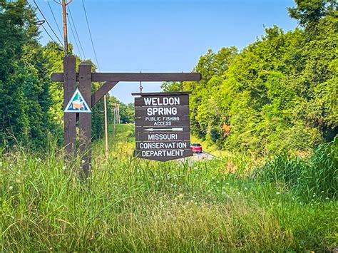 Weldon Spring Conservation Area Sunflowers 2024 And Hattie Makes Three