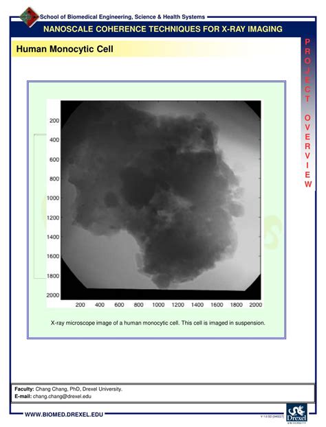 Ppt Nanoscale Coherence Techniques For X Ray Imaging Powerpoint
