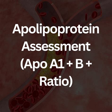 Apolipoprotein Assessment Apo A1 B Ratio Mandm Labs