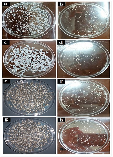 Formulation And Evaluation Of Xanthan Gum Microspheres For The