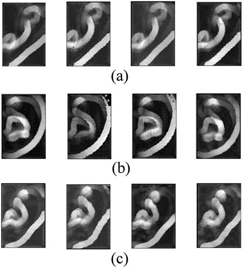 Feature Samples Computed By Using The Proposed Feature Extraction