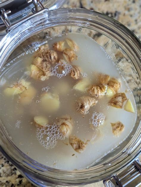 Ginger Bug How Bubbly Should It Be Rfermentation