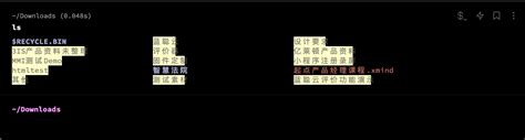 After Installing Oh My Zsh There Was An Issue With The Chinese Display