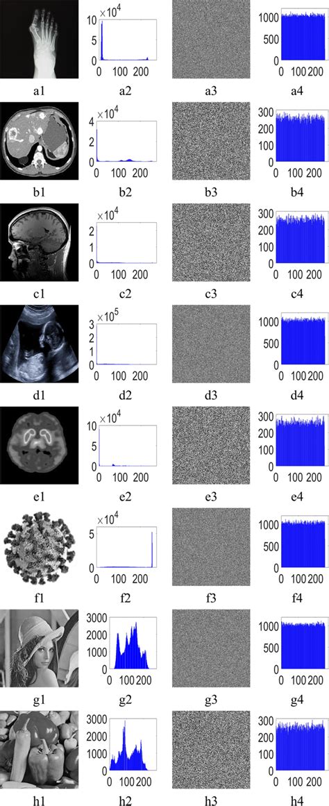 The Histogram Of Sample Images 1st Column Plain Image 2nd Column