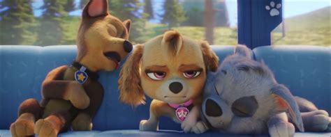 Paw Patrol Chase And Rocky