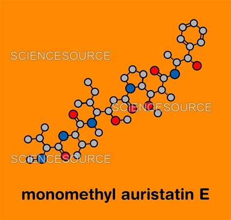 Monomethyl Auristatin E Molecular Mod Stock Image Science Source