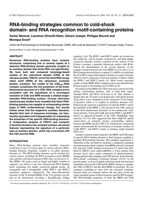 Pdf Rna Binding Strategies Common To Cold Shock Domain And Rna Recognition Motif Containing