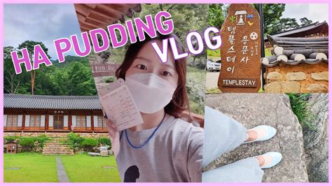 Vlog 용문사는 고양이가 지킨다🐱 템플스테이 브이로그휴식형│1박2일 힐링여행│korea Templestay Vlog│vacance In Temple│ Youtube