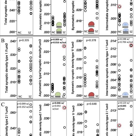 Graphs Of The Density Of Synaptic Types Icons Appear For Asymmetric