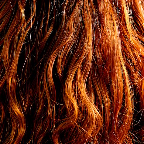 [200 ] Hair Texture Png Images Page 3