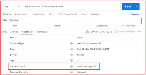 Response Caching In Aspnet Core Dot Net Tutorials