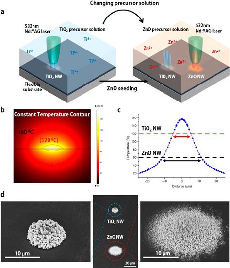 Figure 6 From Laser Induced Hydrothermal Growth Of Heterogeneous Metal Oxide Nanowire On