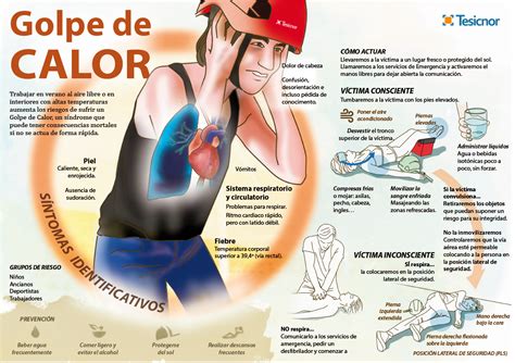 Infografa Del Golpe De Calor Claves Para Prevenir Golpes De Calor En